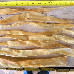 Real Natural Dried Deer Sinew - Etsy