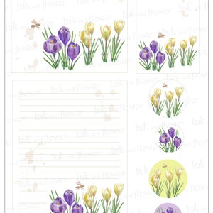 Digital Printable Stationary With Painted Crocus. Letterhead and ...
