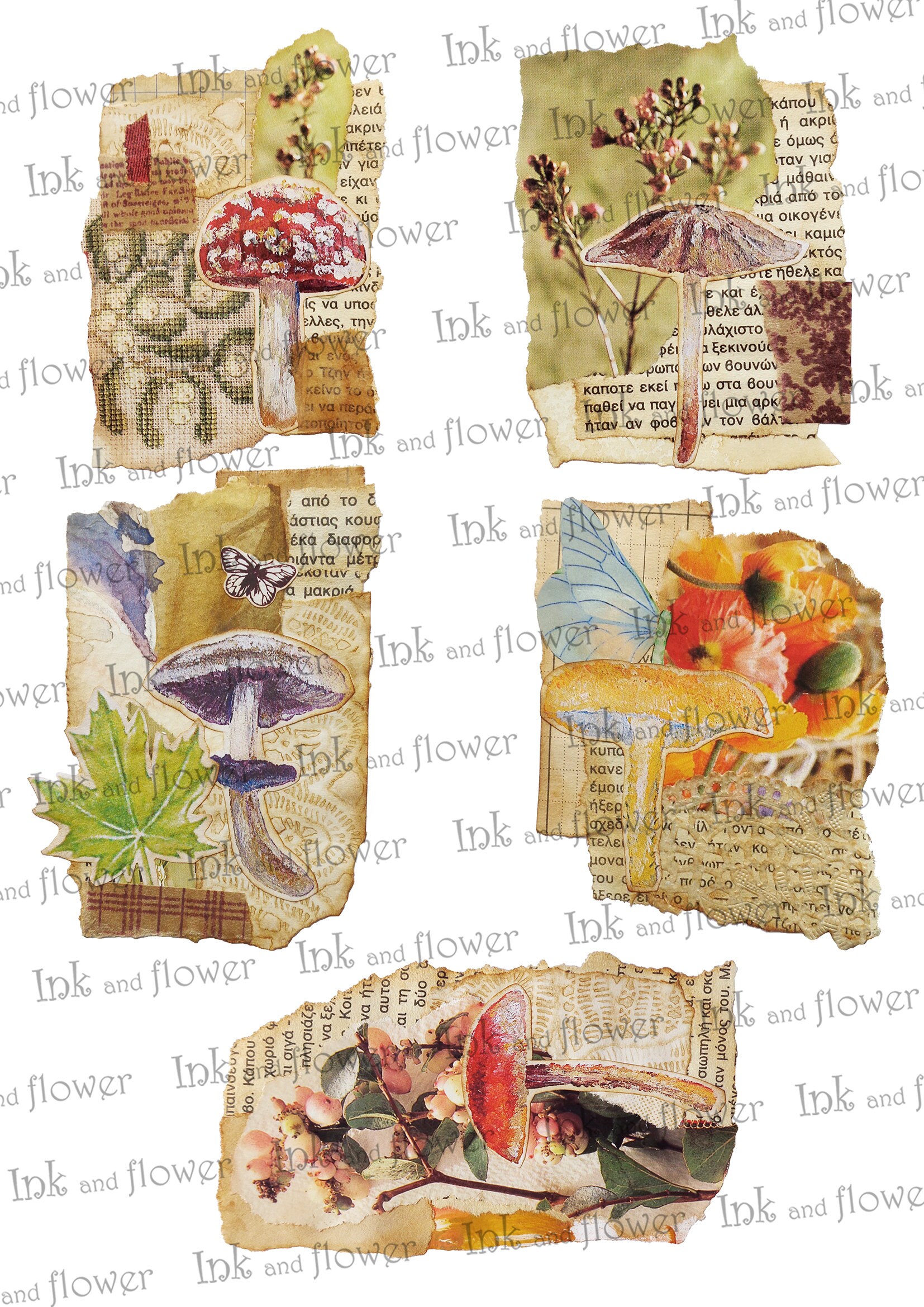 Mushroom Collage Art. Instant Download, Digital File of 21 Mushroom ...