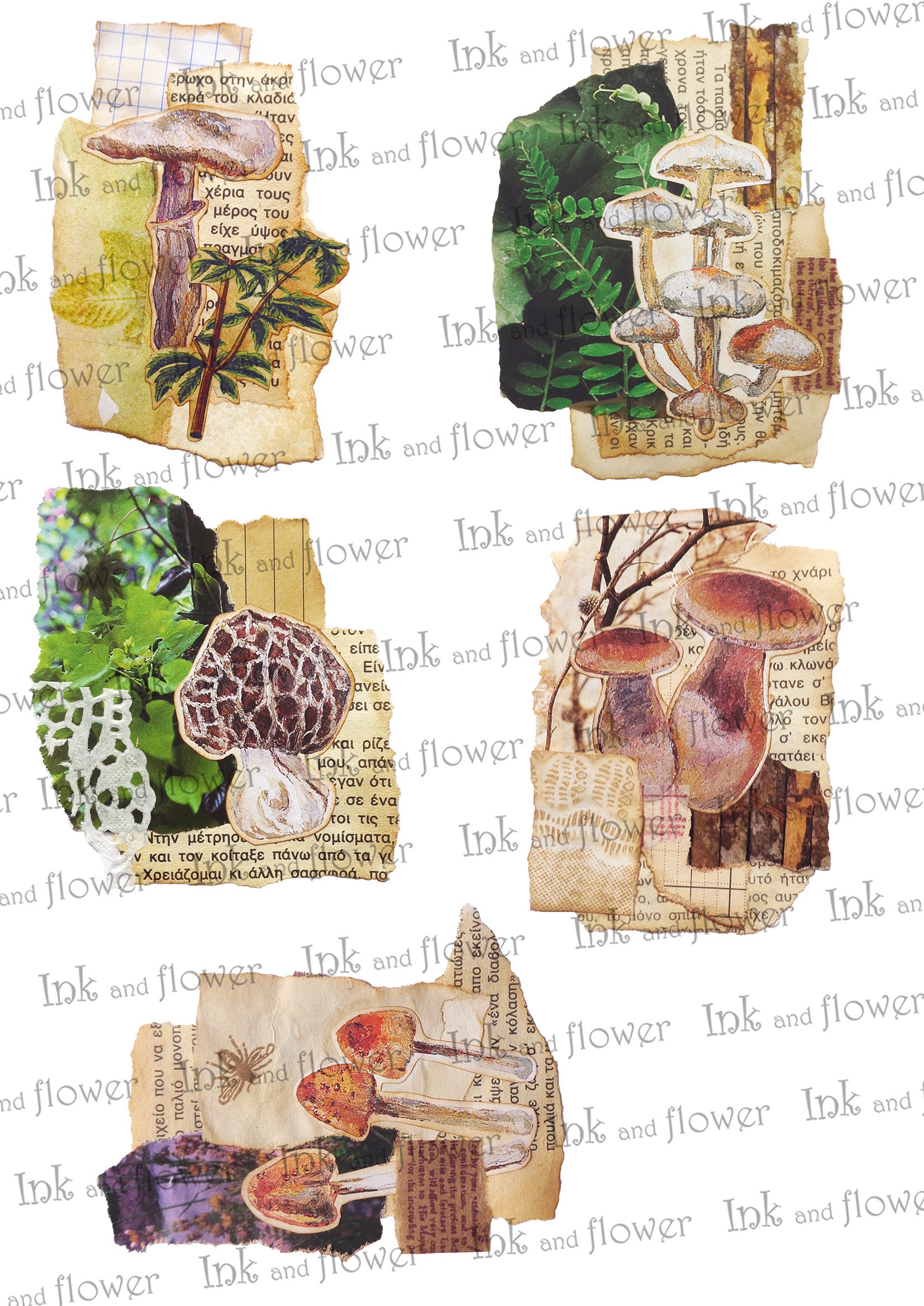 Mushroom Collage Art. Instant Download, Digital File of 21 Mushroom ...