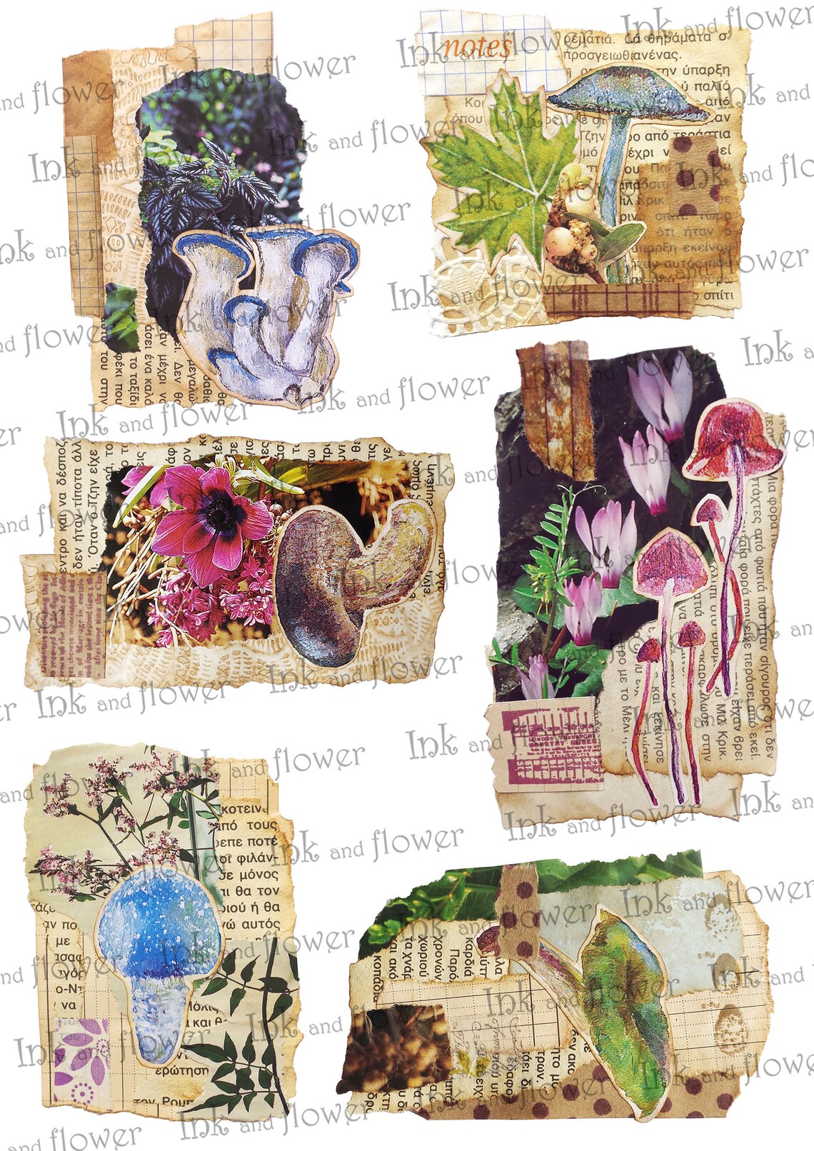 Mushroom Collage Art. Instant Download, Digital File of 21 Mushroom ...