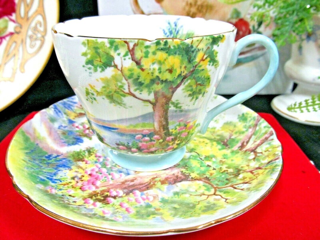Shelley Tea Cup and Saucer Woodland Landscape Lake Scene Teacup ...