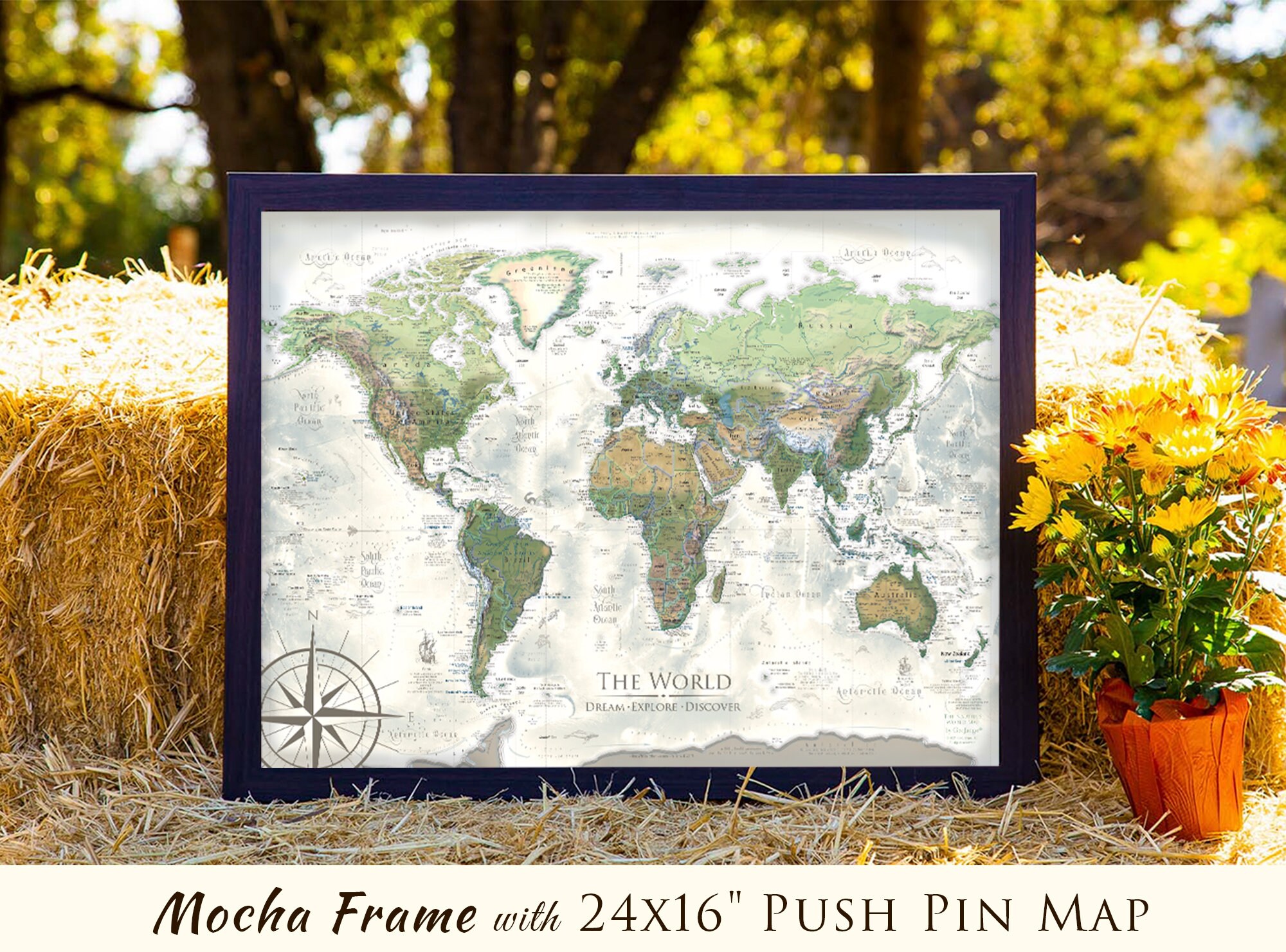 Nautilus World Map Push Pin World Map Wall Art With USA | Etsy Canada