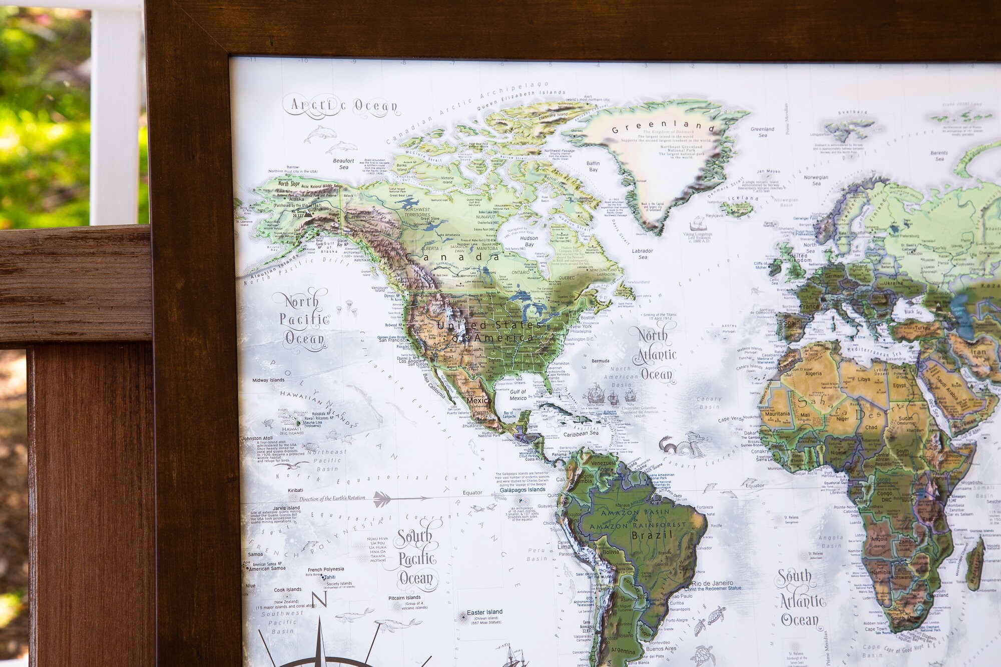 Nautilus World Map Push Pin World Map Wall Art With USA - Etsy Ireland