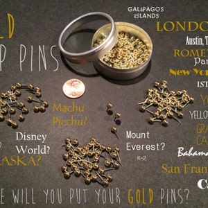 Gold Map Push Pins | Map Push Pins for Your Favorite Locations! | GOLD ...