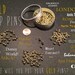 Gold Map Push Pins | Map Push Pins for Your Favorite Locations! | GOLD ...