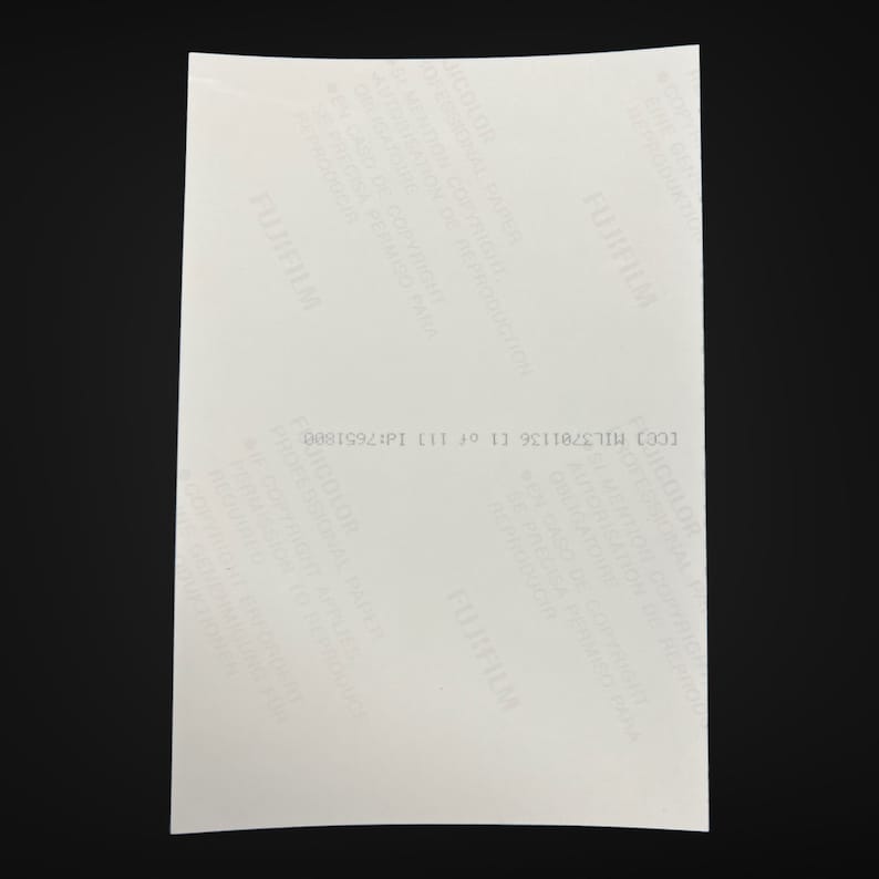 Vintage Photo Reproduction Pin up Cheesecake Busty Nylons Retro ...