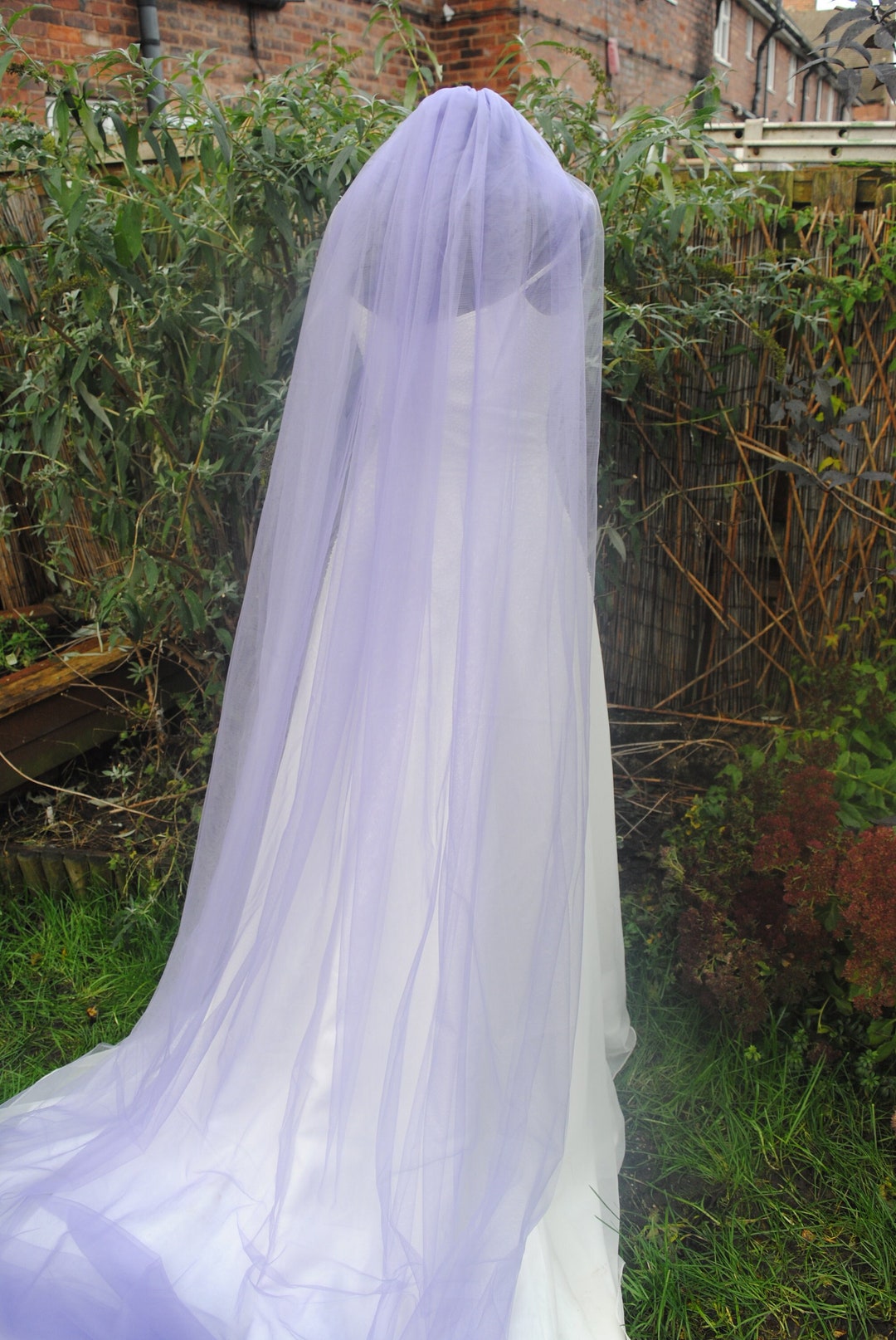 Pale Lilac, Purple, Lavender Veil, 2024 Trend Pastel Veil, Cathedral ...