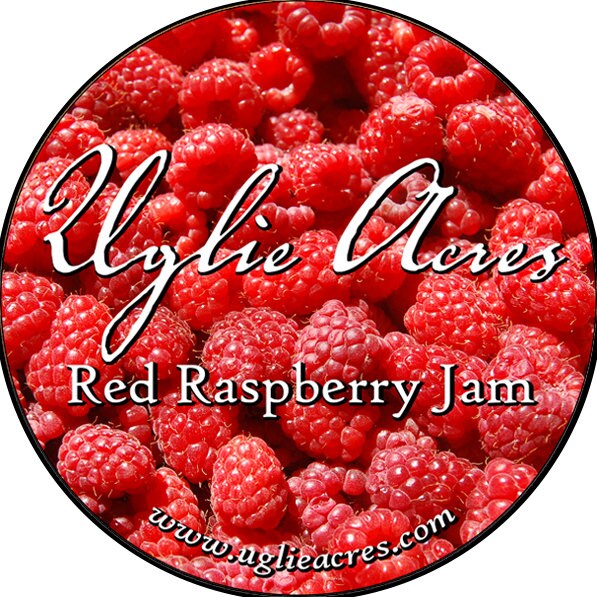 Red Raspberry Jam - Etsy