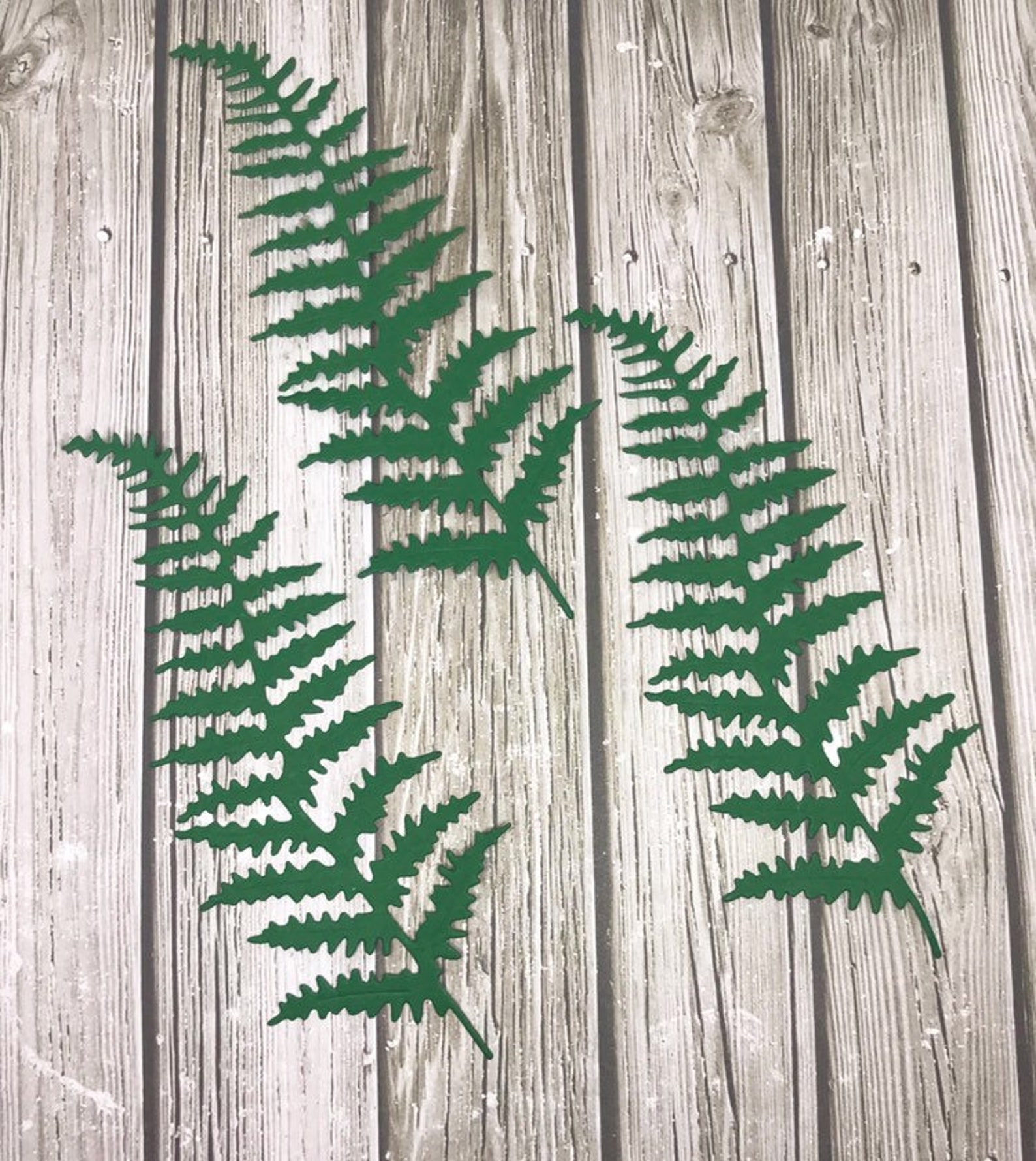 Paper Fern Die Cuts - Paper Polypody Cutout - Paper Leaves - Paper Die ...