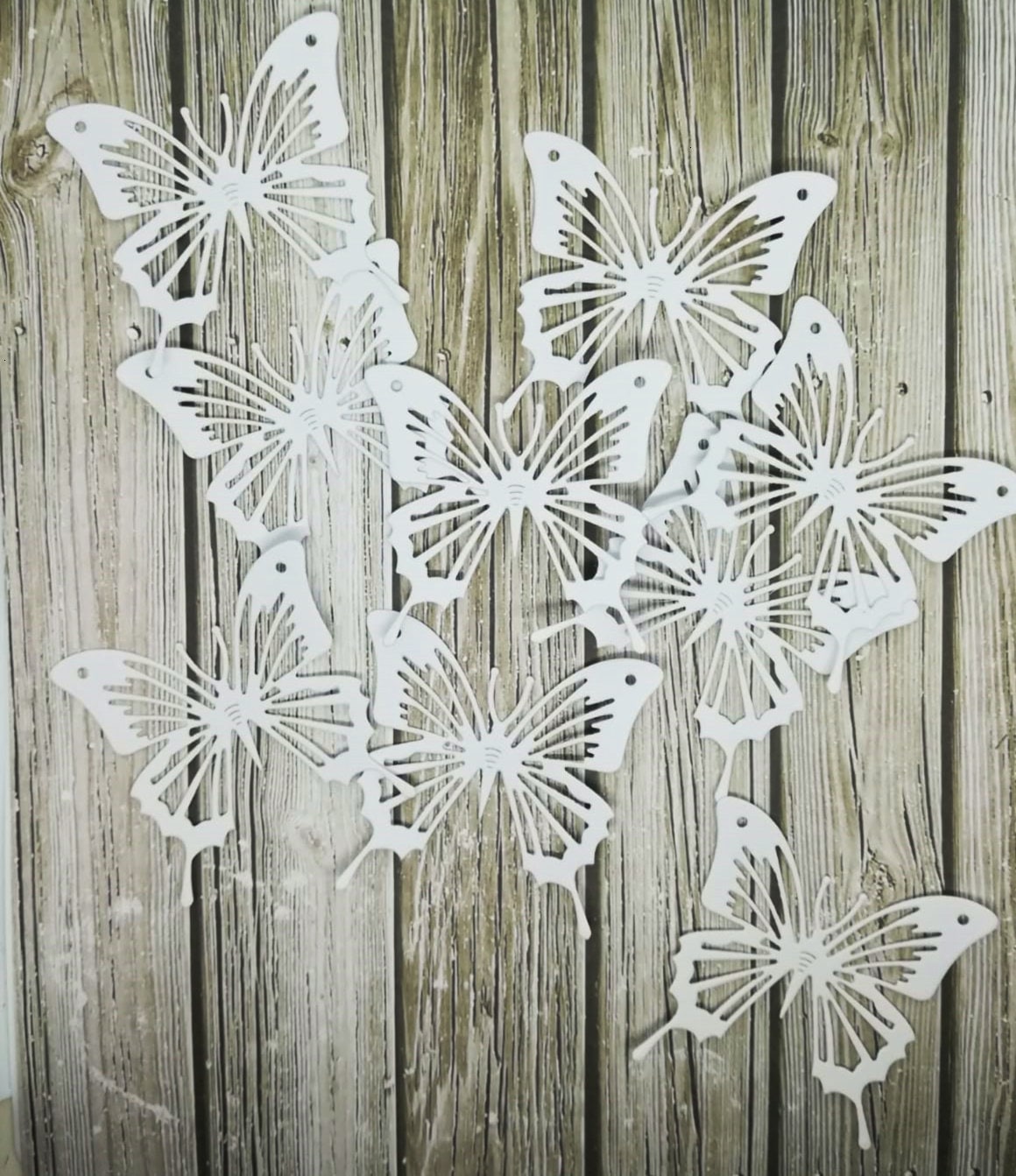 Paper Butterflies Butterfly Cutouts Die Cut Butterflies Set of ...