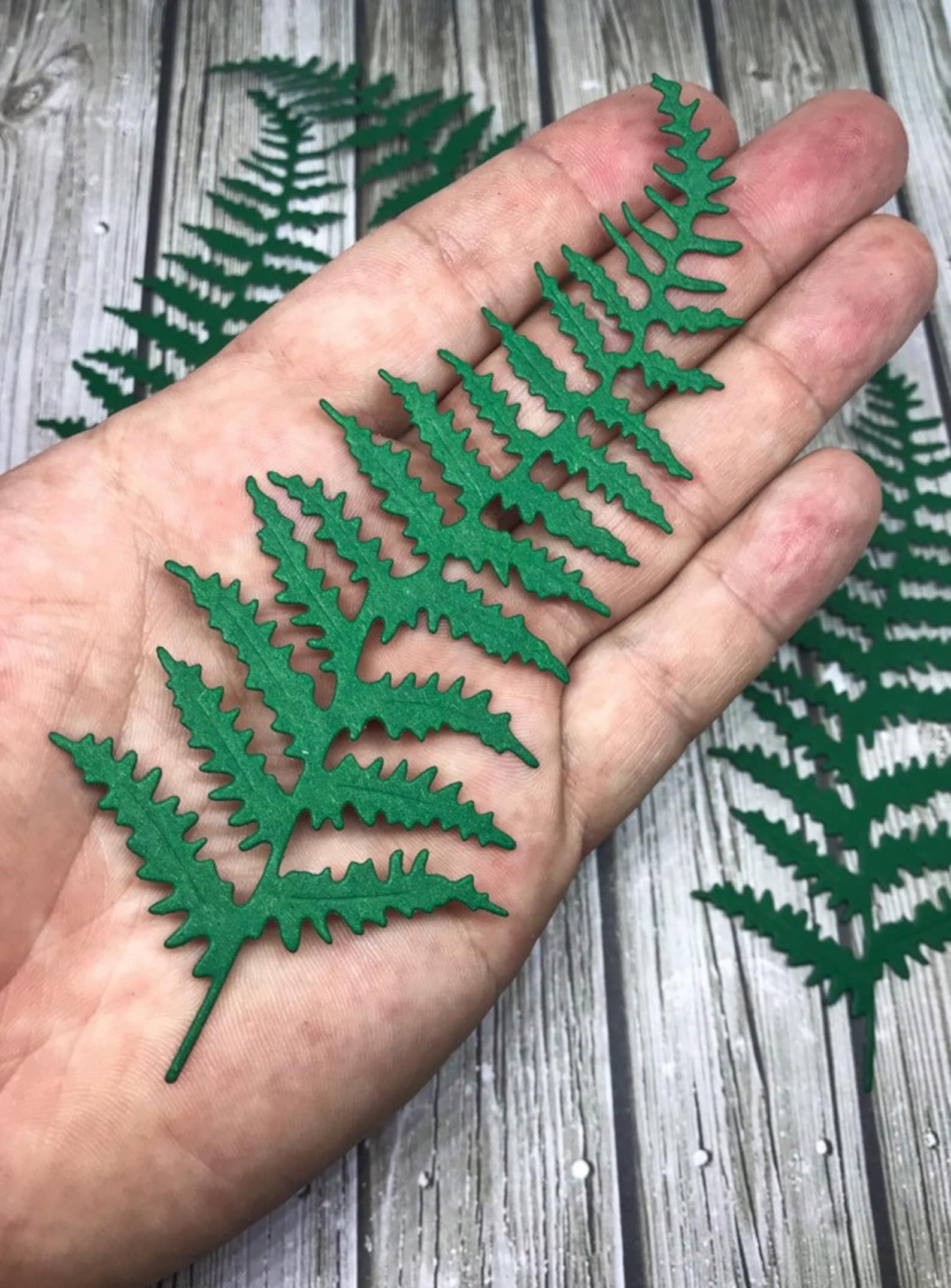 Paper Fern Die Cuts - Paper Polypody Cutout - Paper Leaves - Paper Die ...