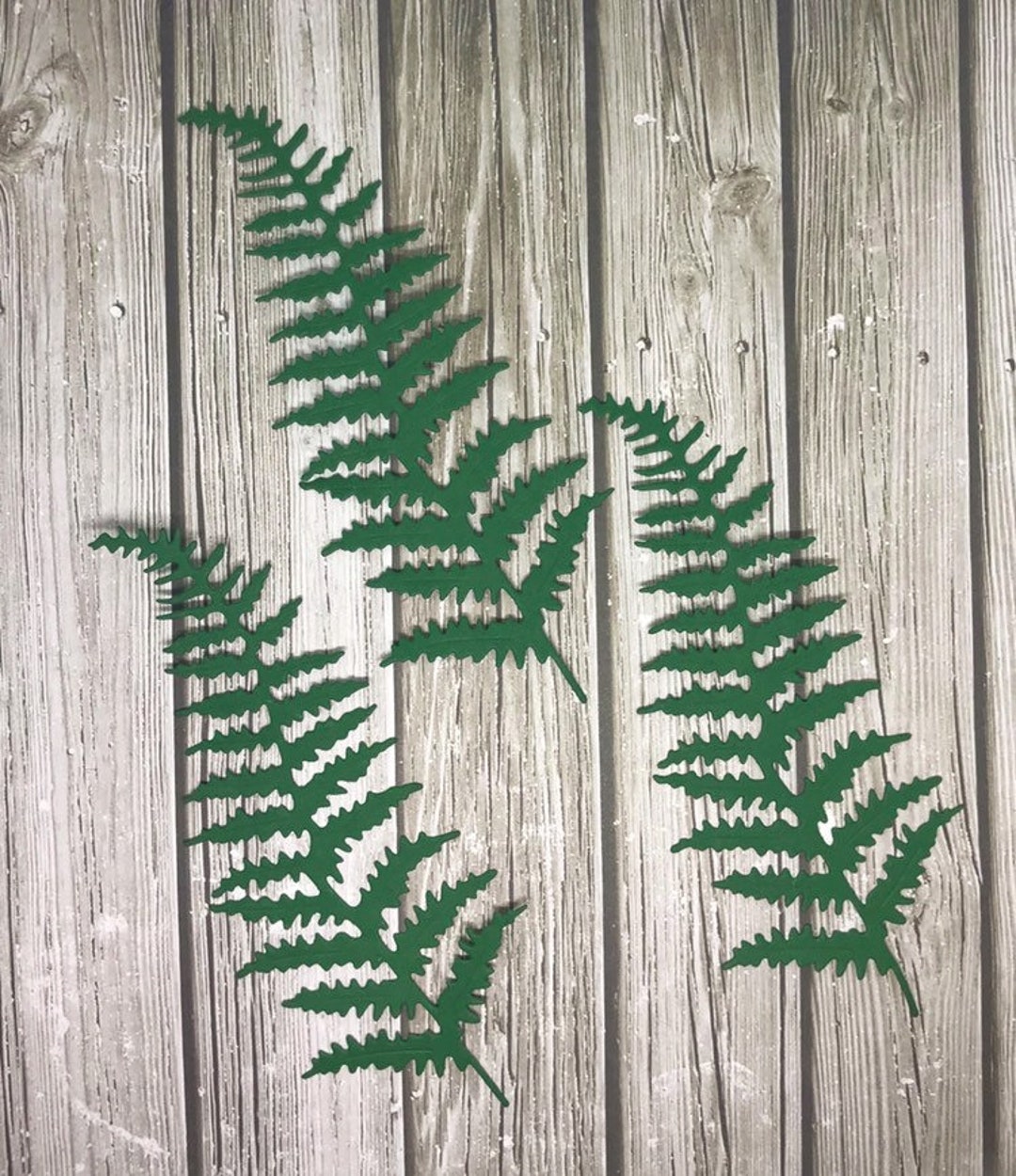 Paper Fern Die Cuts - Paper Polypody Cutout - Paper Leaves - Paper Die ...