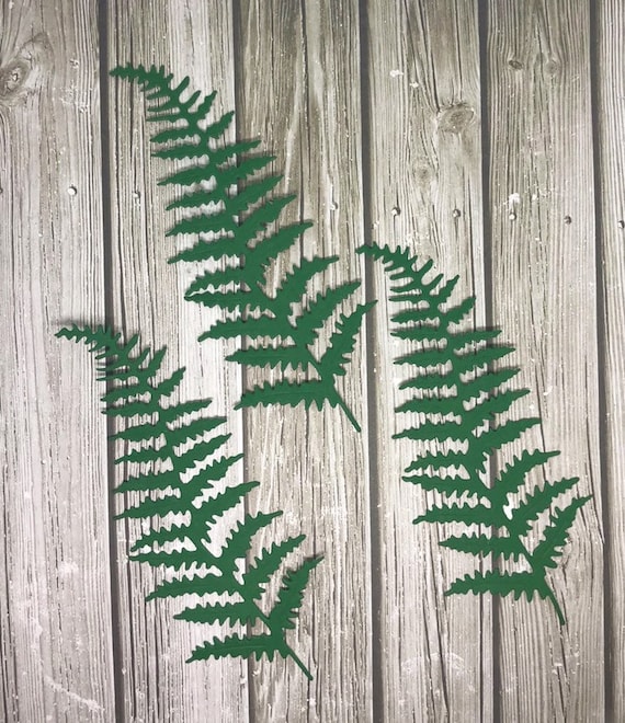 Paper Fern Die Cuts Paper Polypody Cutout Paper Leaves | Etsy