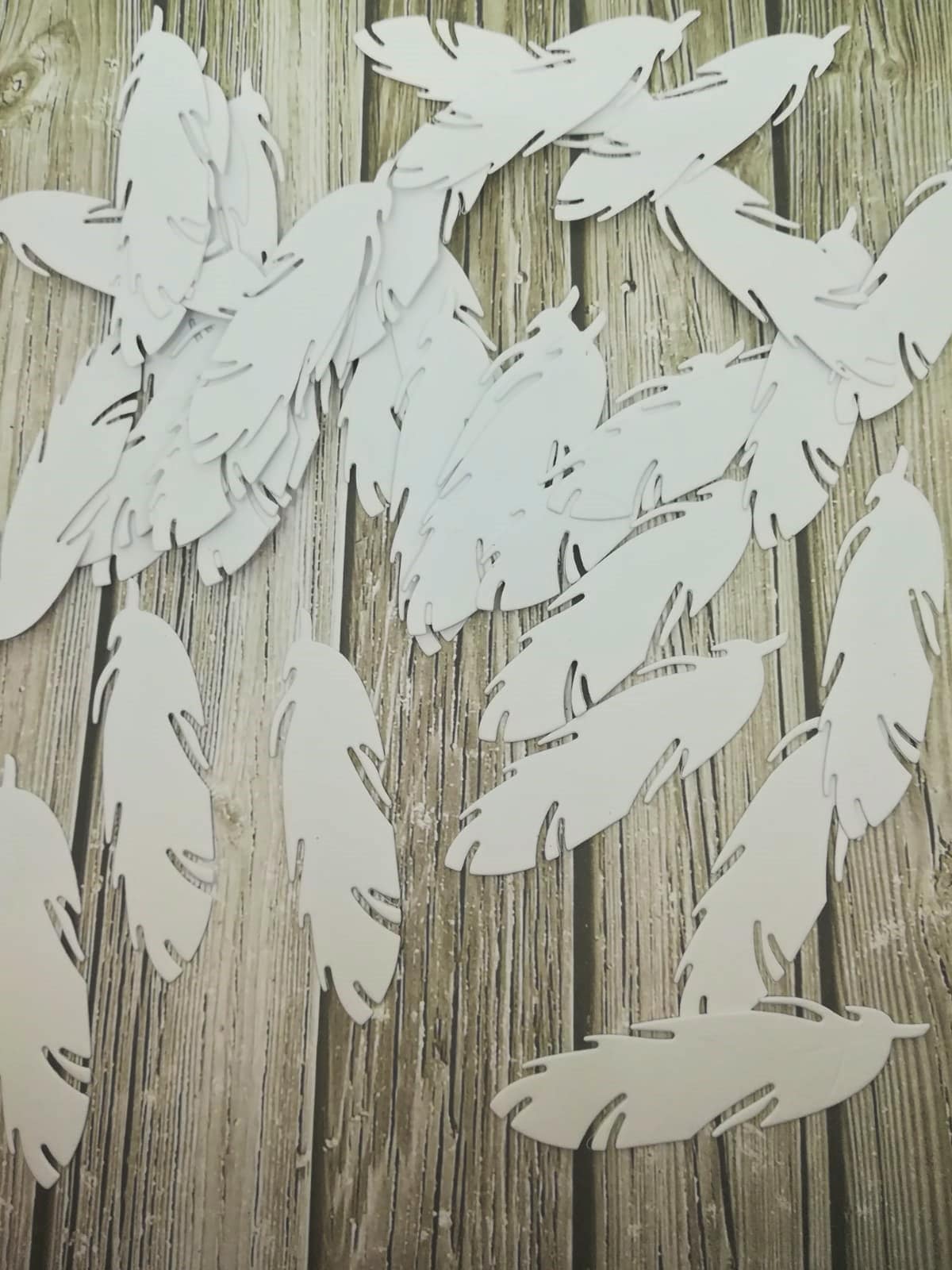 Paper Feathers Feather Paper Die Cuts Mix Color Feathers Paper Die Cut ...