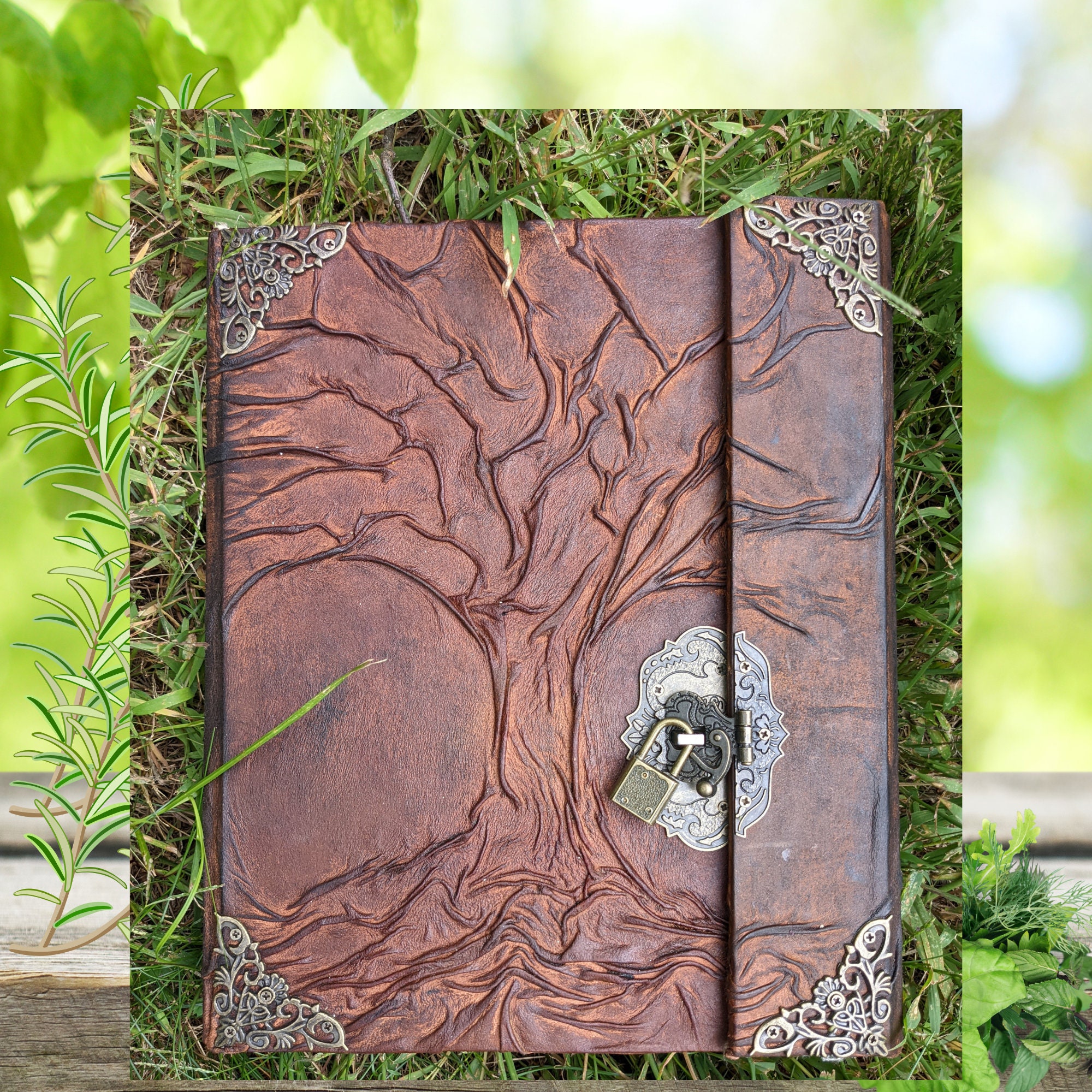 Spellbook Of Life