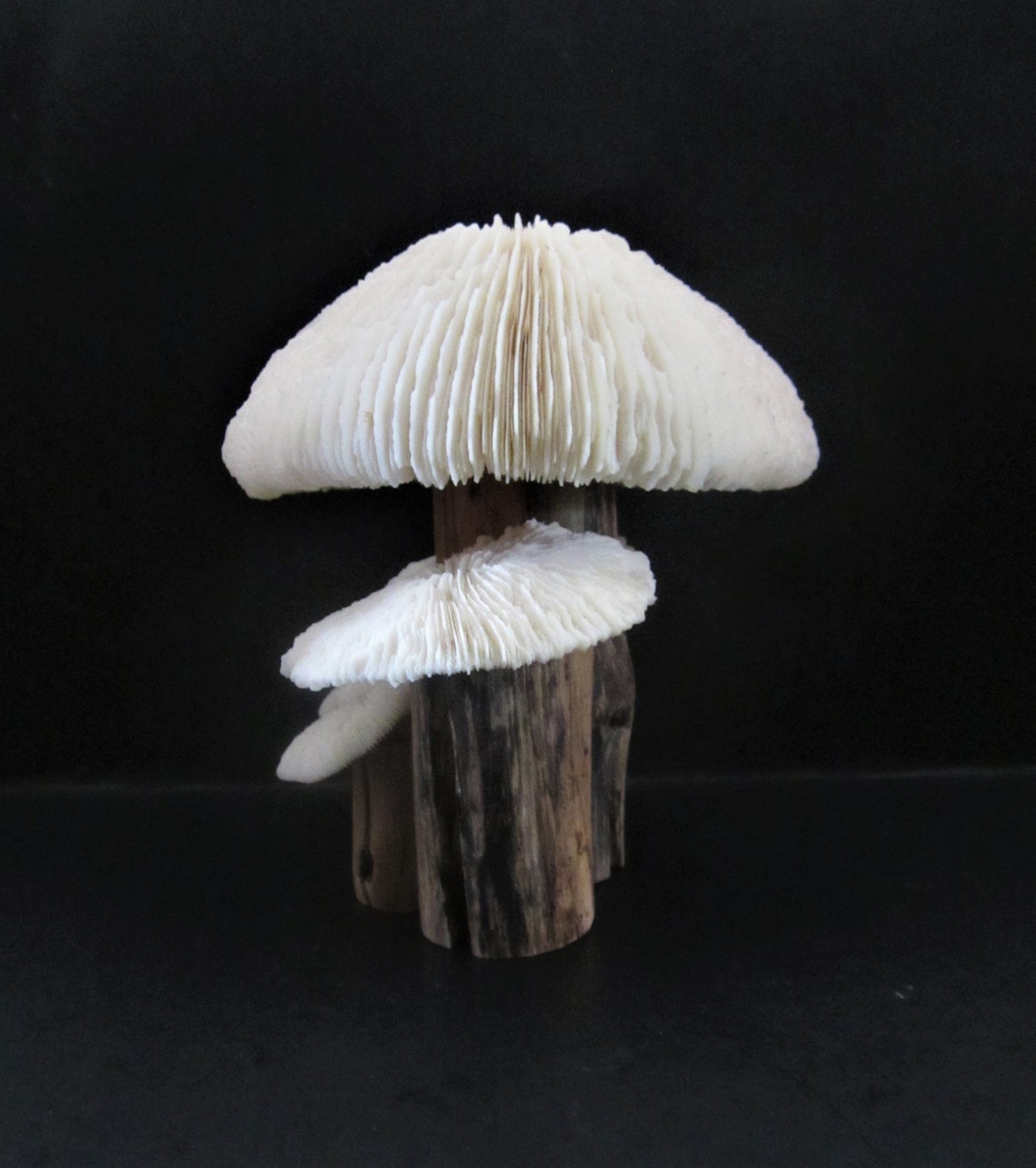 Vintage Natural Wood and Shell Mushroom Sculpture Retro - Etsy
