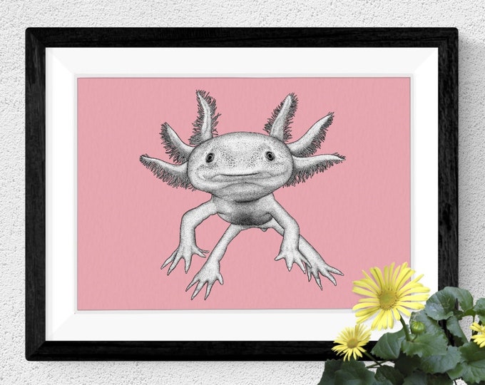 Axolotl A4 Art Print With Bold Pink Background // Axolotl Print ...