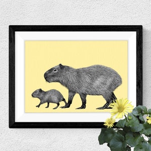 Capybara A4 Art Print // Capybara Wall Art, Capybara Gift, Pen and Ink ...