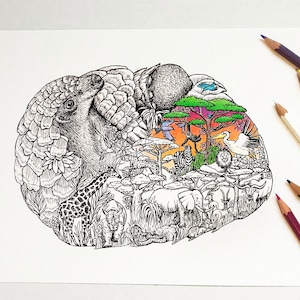 Pangolin Printable Colouring Page // A Detailed African Wildlife ...