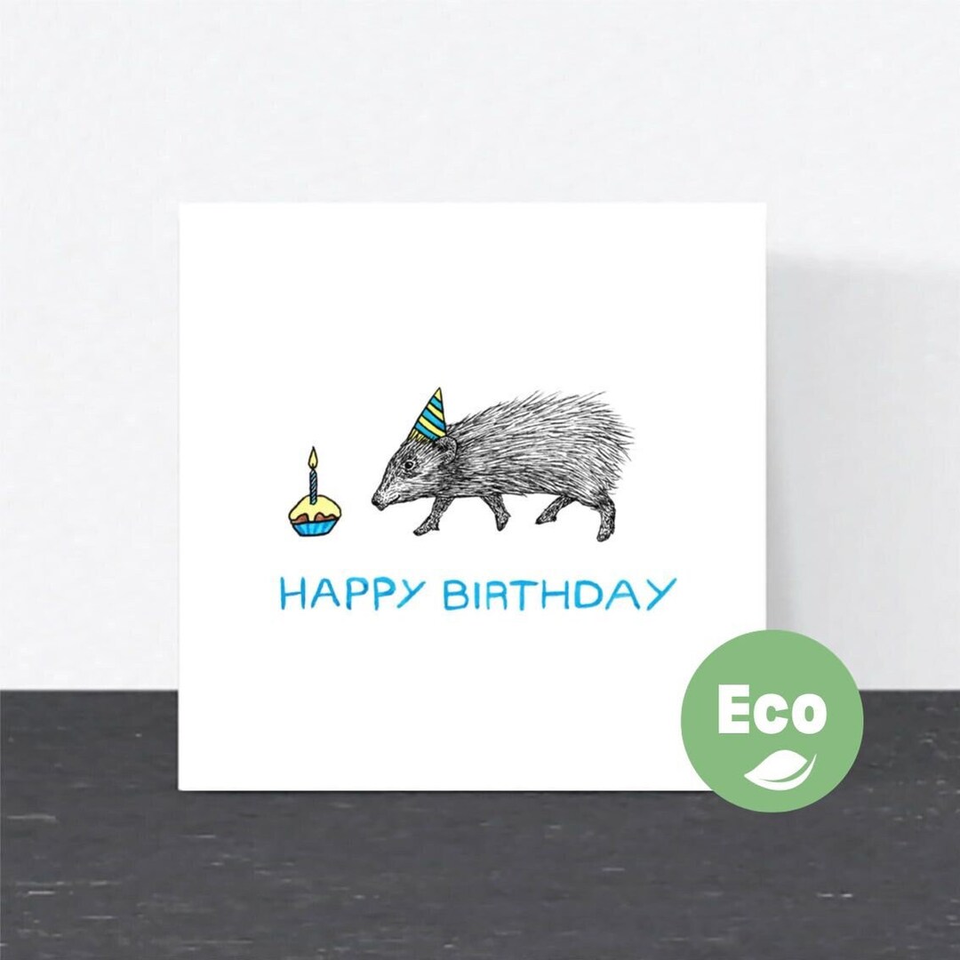 Pygmy Hog Birthday Card // Cute Animal Art Happy Birthday - Etsy