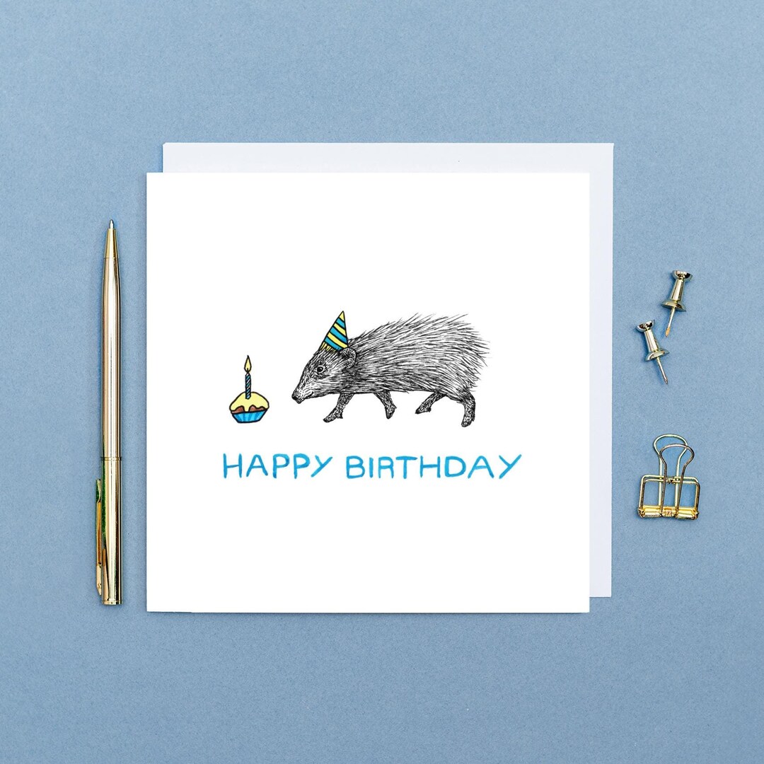 Pygmy Hog Birthday Card // Cute Animal Art, Happy Birthday Card, Cards ...