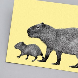 Capybara A4 Art Print // Capybara Wall Art, Capybara Gift, Pen and Ink ...