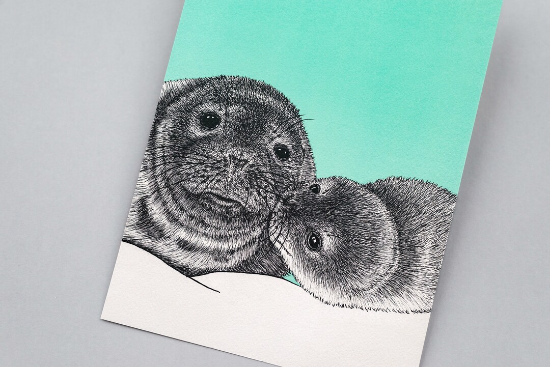 Cute Seals A4 Art Print in Light Blue // Seal Animal Art - Etsy