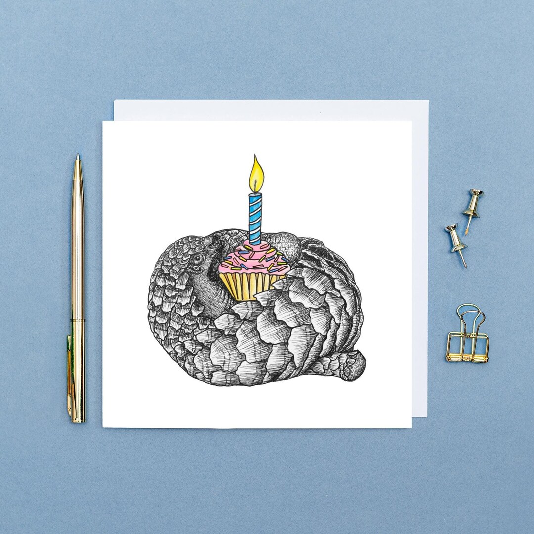 Pangolin Birthday Card // Animal Art Cards, Birthday Cards for Her ...
