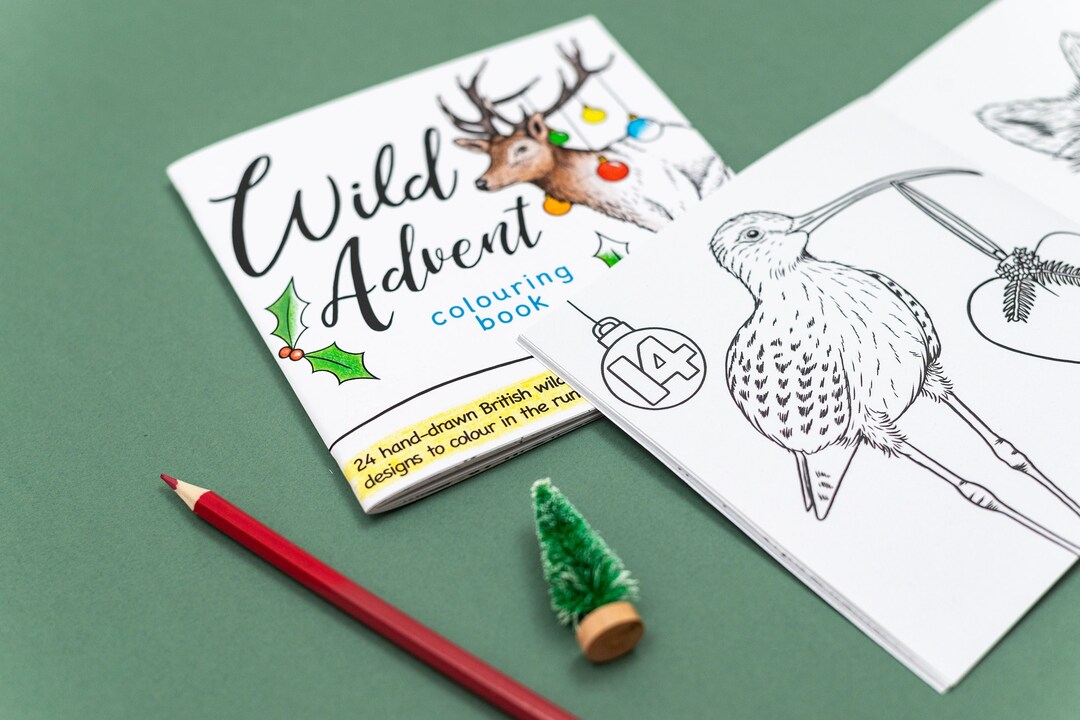 Advent Colouring Book // British Wildlife Edition // Advent Calendar ...