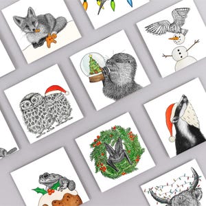 Barn Owl Christmas Card // Animal Art, British Wildlife Card, Funny ...