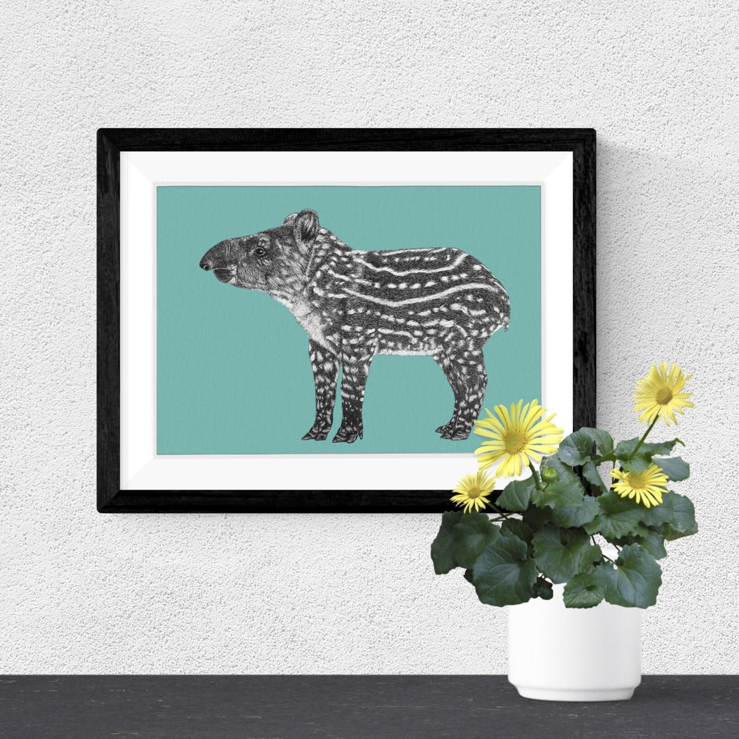 Brazilian Tapir A4 Art Print // Tapir Wall Art, Tapir Gift, Pen and Ink ...