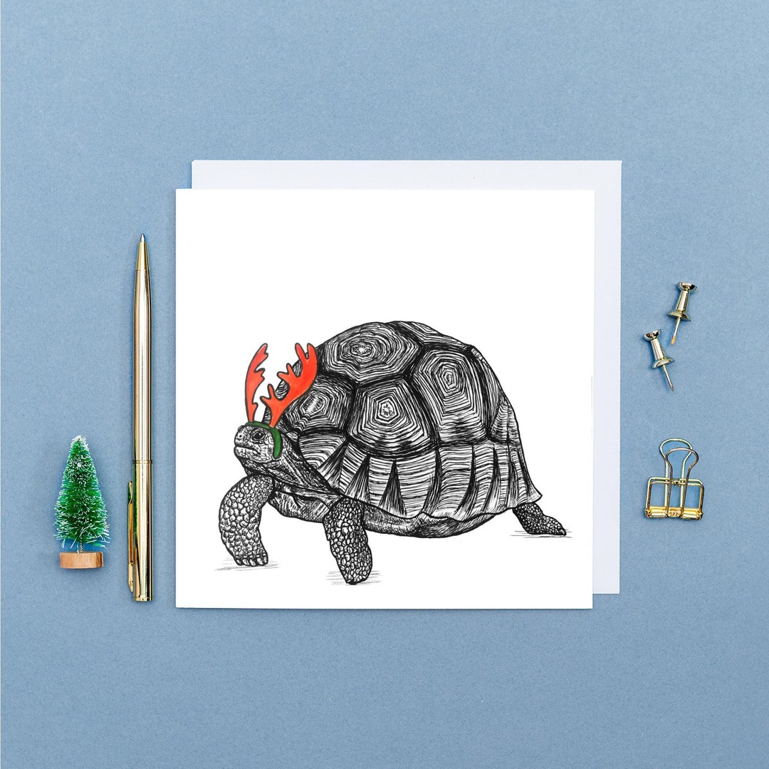 Funny Tortoise Christmas Card // Animal Christmas Cards // Funny ...