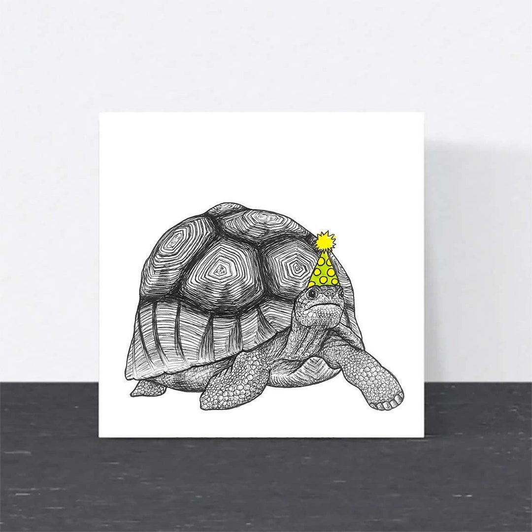 Party Tortoise Birthday Card // Funny Animal Birthday Cards // - Etsy