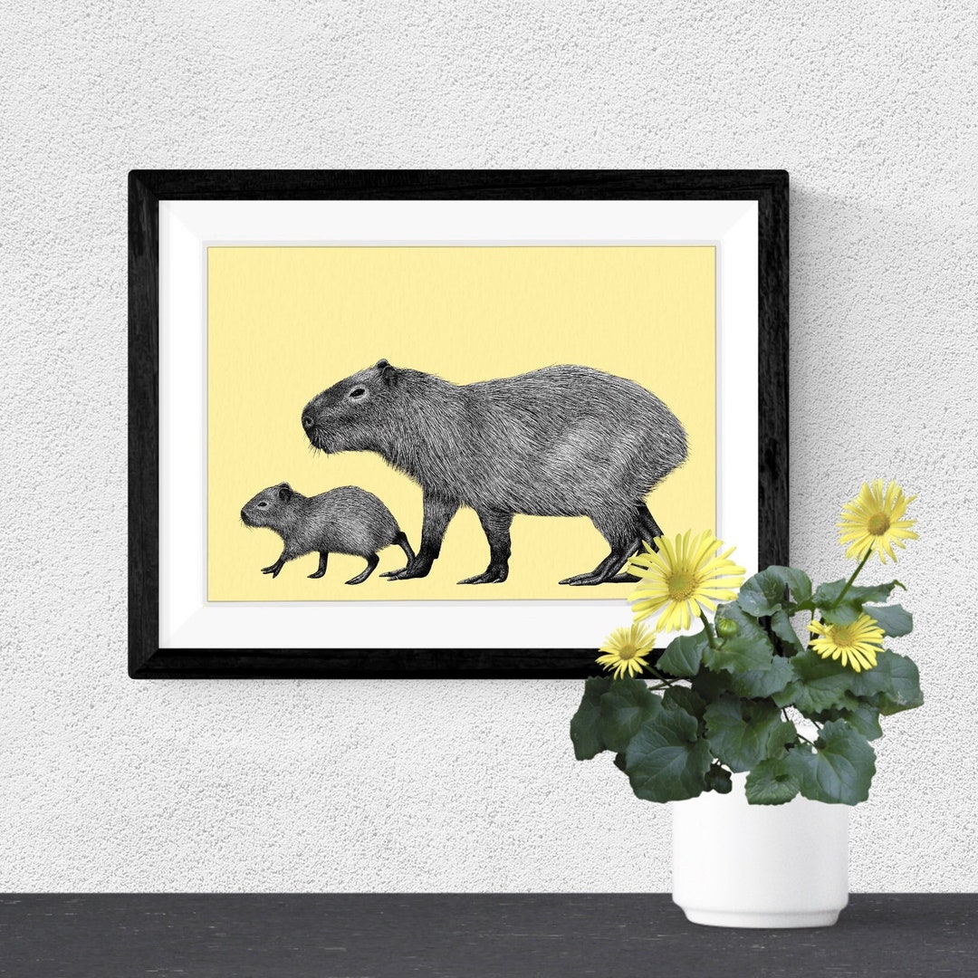 Capybara A4 Art Print // Capybara Wall Art, Capybara Gift, Pen and Ink ...