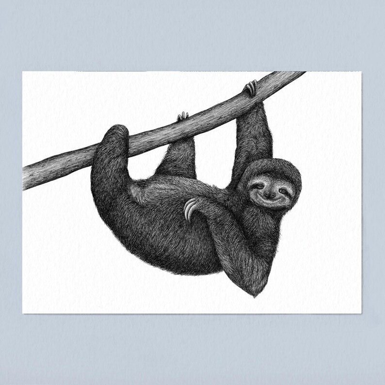 Sloth A4 Art Print // Black and White Sloth Drawing, Sloth Gift, Sloth ...