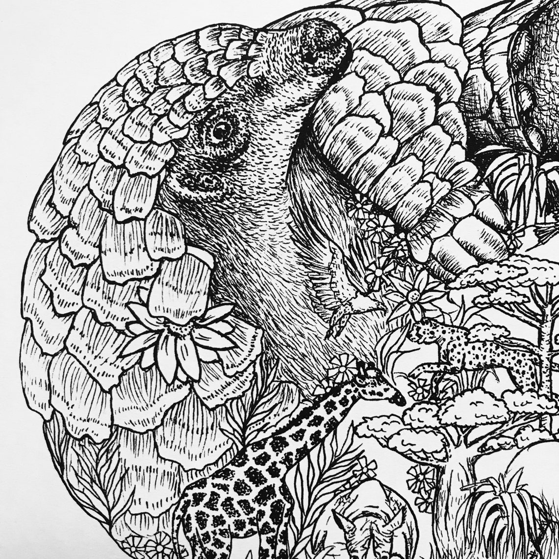 Pangolin Printable Colouring Page // A Detailed African - Etsy