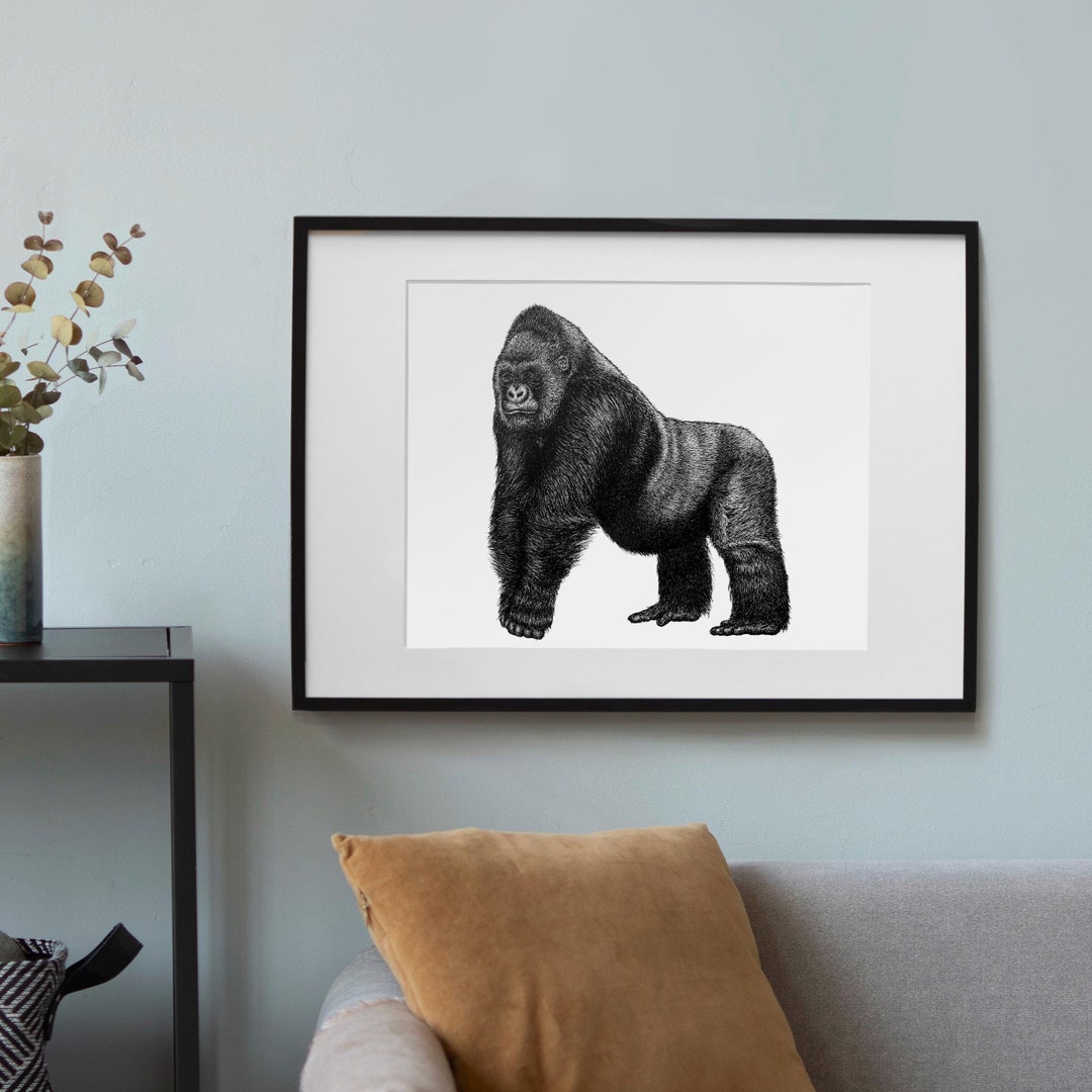 Black and White Silverback Gorilla Art // Hand Drawn Gorilla A4 Art ...