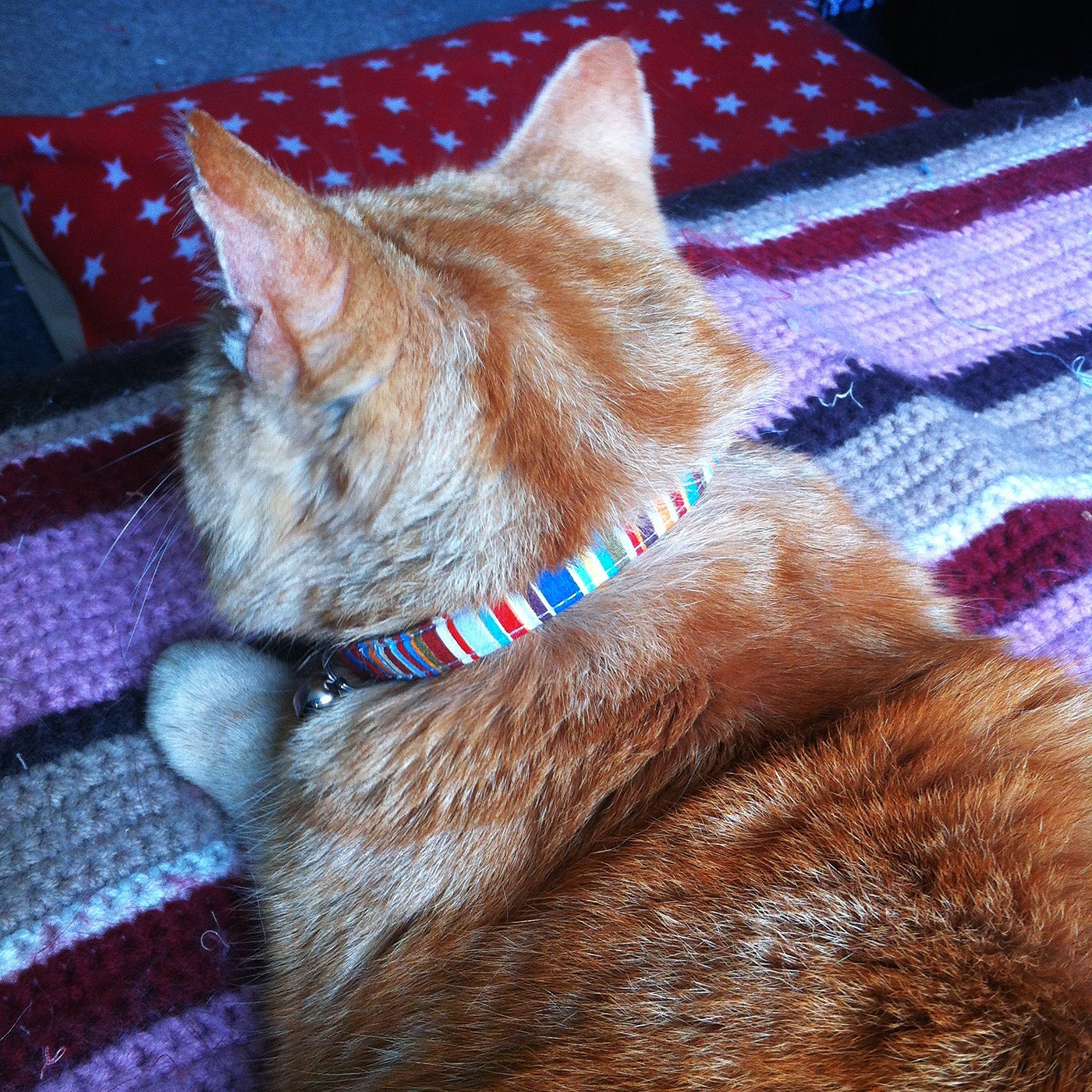 Noddy & Sweets Adjustable Cat Collar With Bell and Charm - Etsy