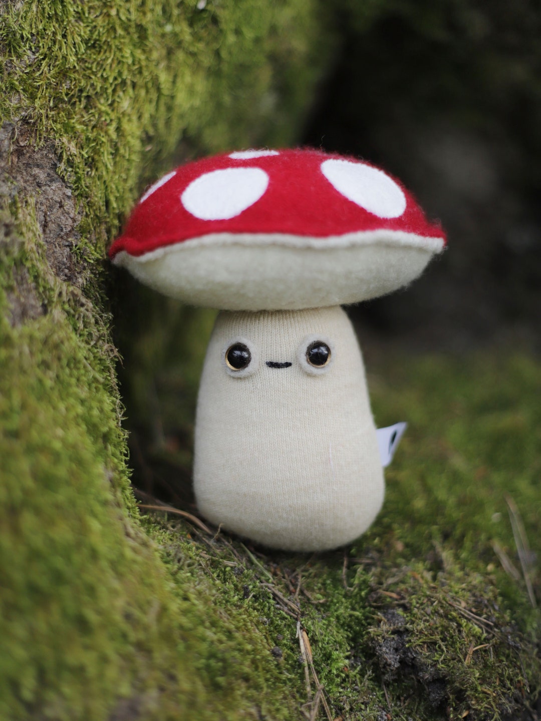 Friendly Fungi Toadstool Magic Mushroom Forest Woolly Critter ...