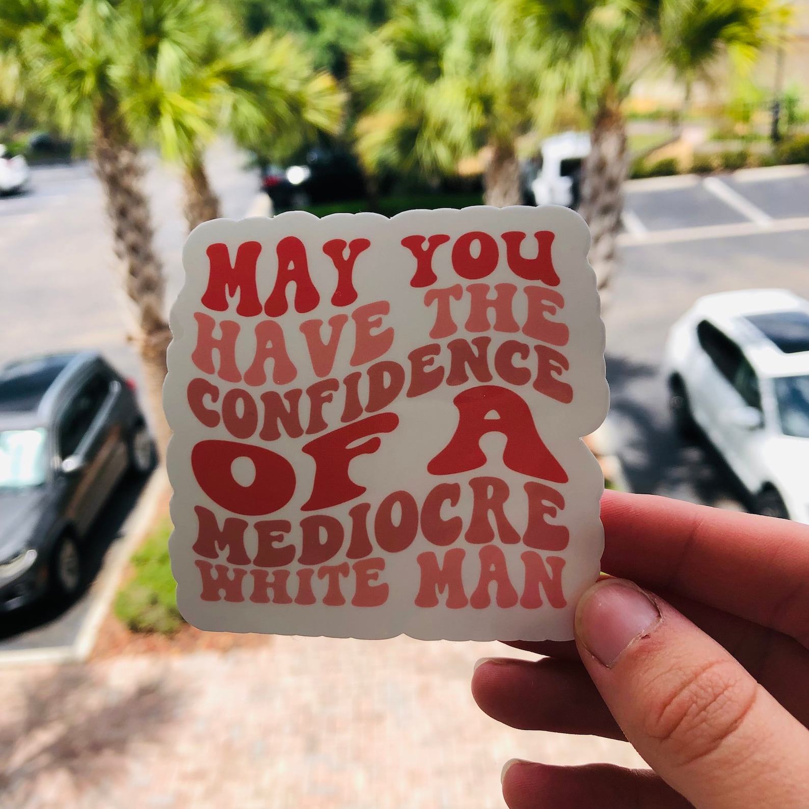 Confidence of a Man Sticker, Women's Rights, Feminist Sticker, Pro Roe ...