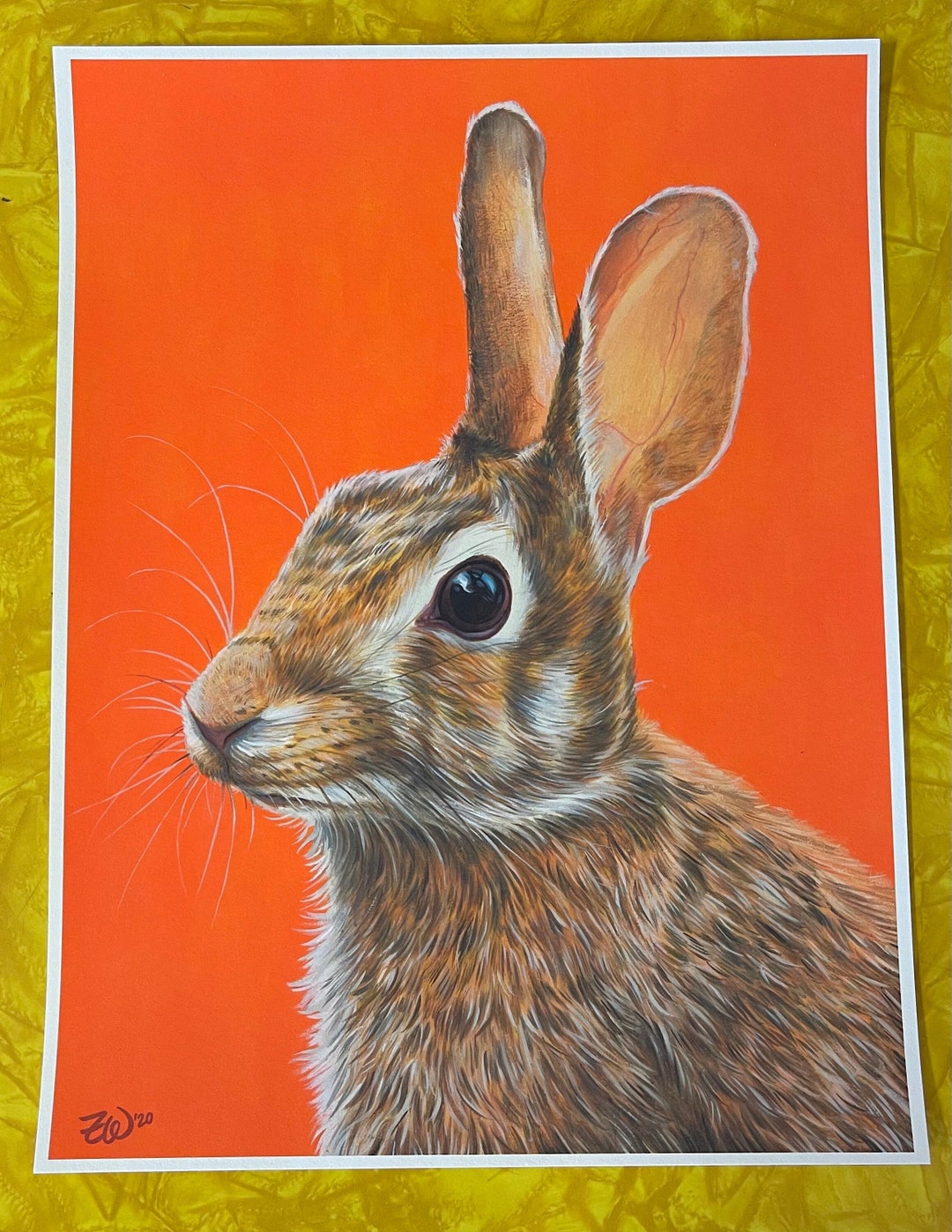 Cottontail Rabbit Print - Etsy