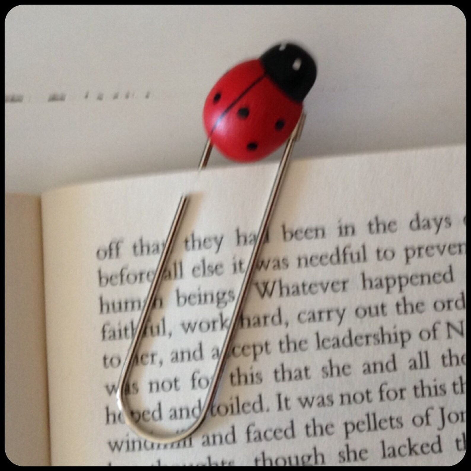 Ladybug Bookmark Wooden Ladybird on Giant Paper Clip Can - Etsy