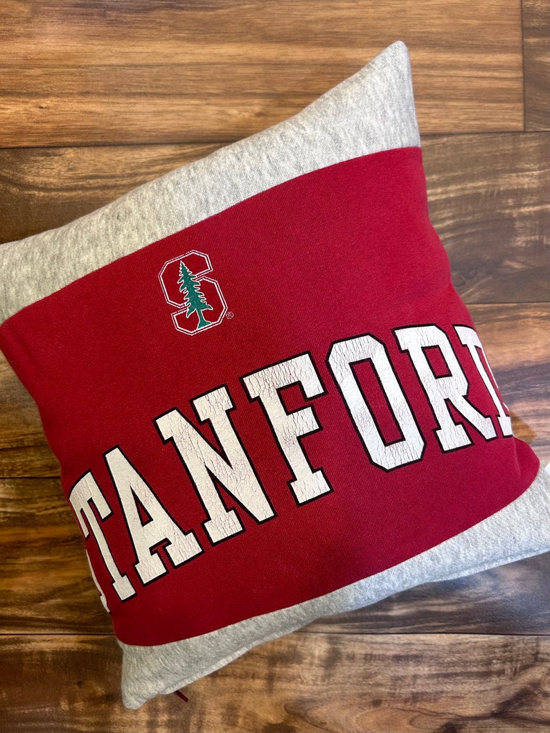 College Pillows, University Throw Pillows, T-shirt Pillows, Dorm Room ...