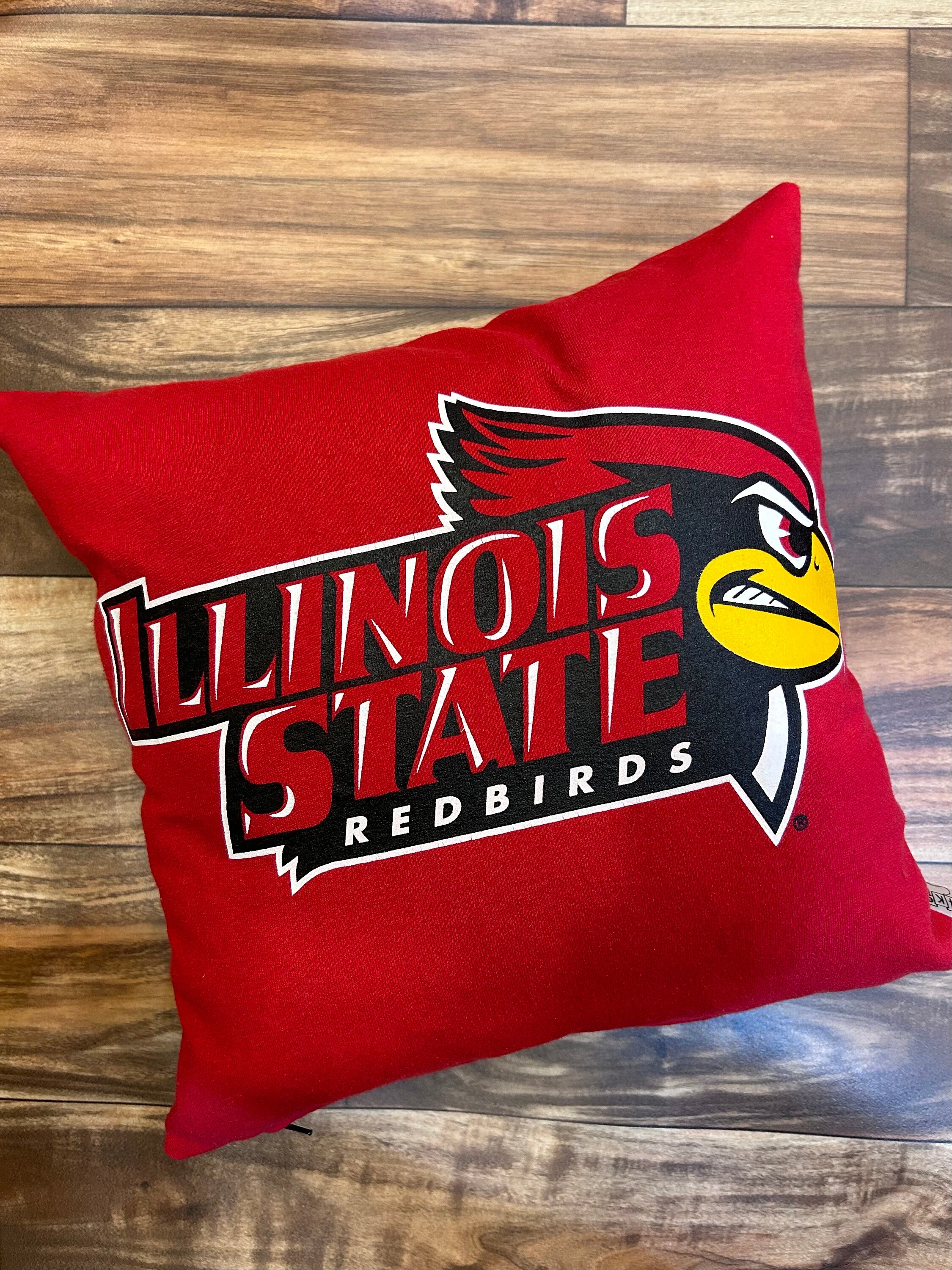 College Pillows, University Throw Pillows, T-shirt Pillows, Dorm Room ...