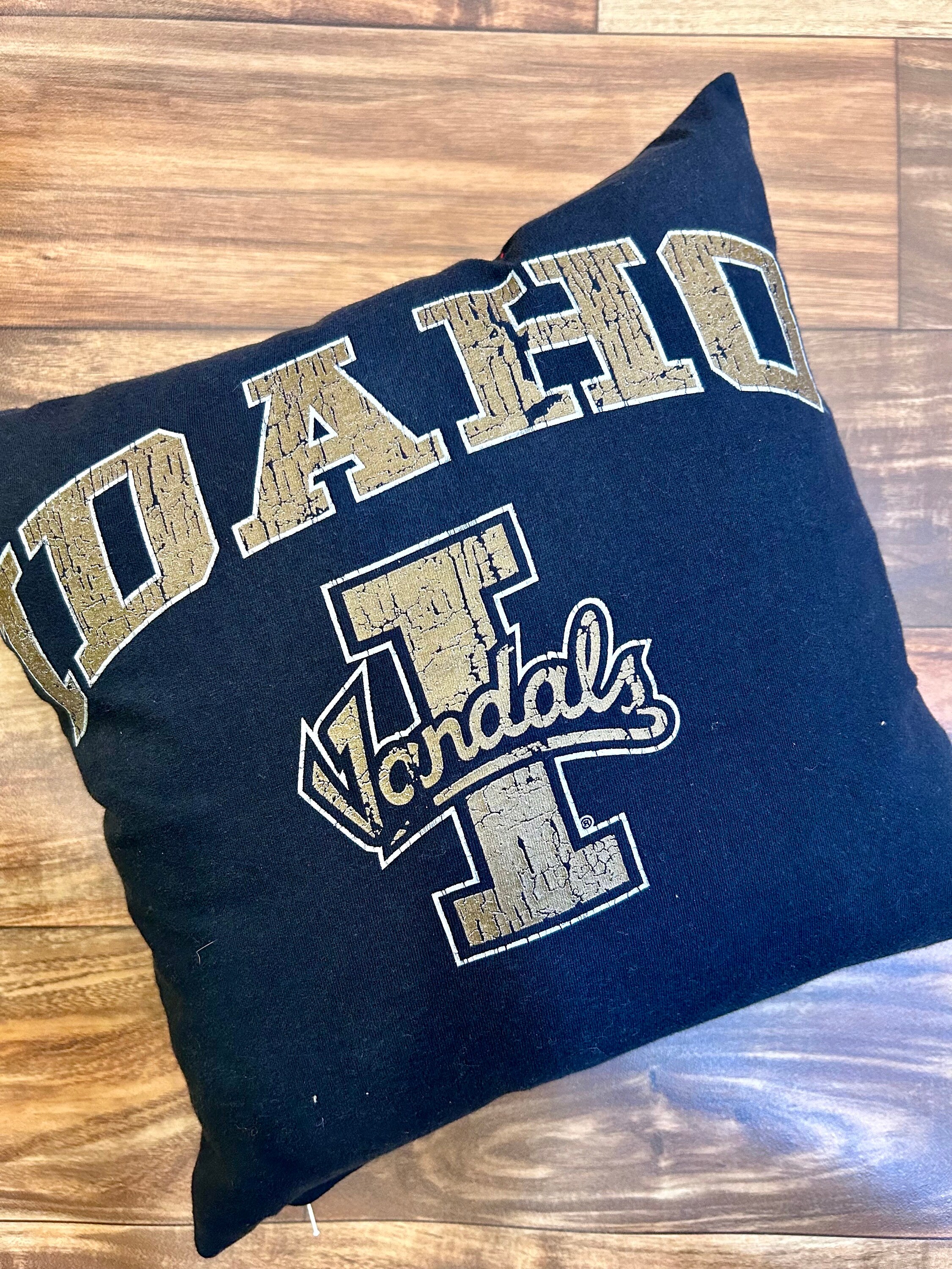 College Pillows, University Throw Pillows, T-shirt Pillows, Dorm Room ...