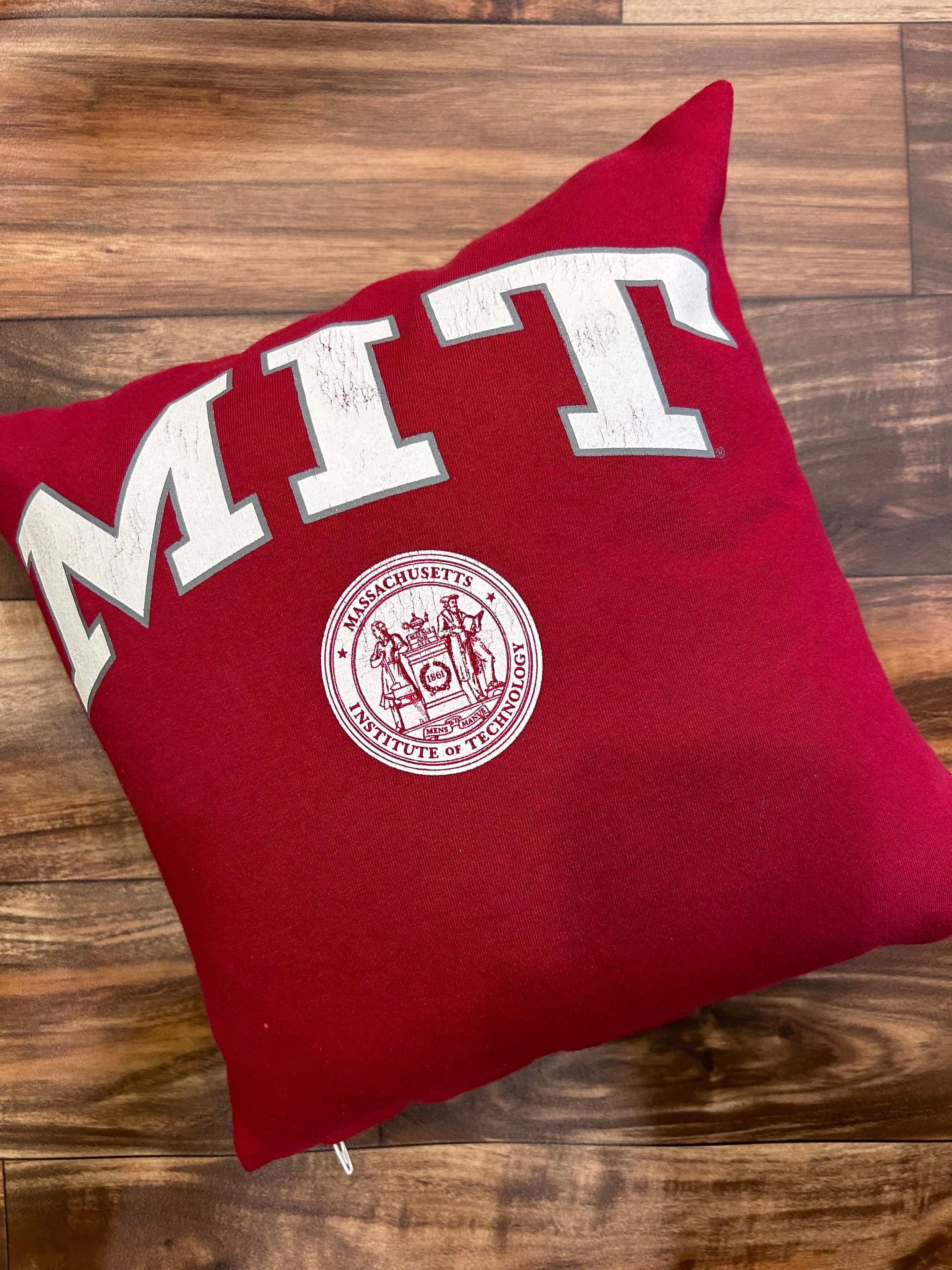 College Pillows, University Throw Pillows, T-shirt Pillows, Dorm Room ...