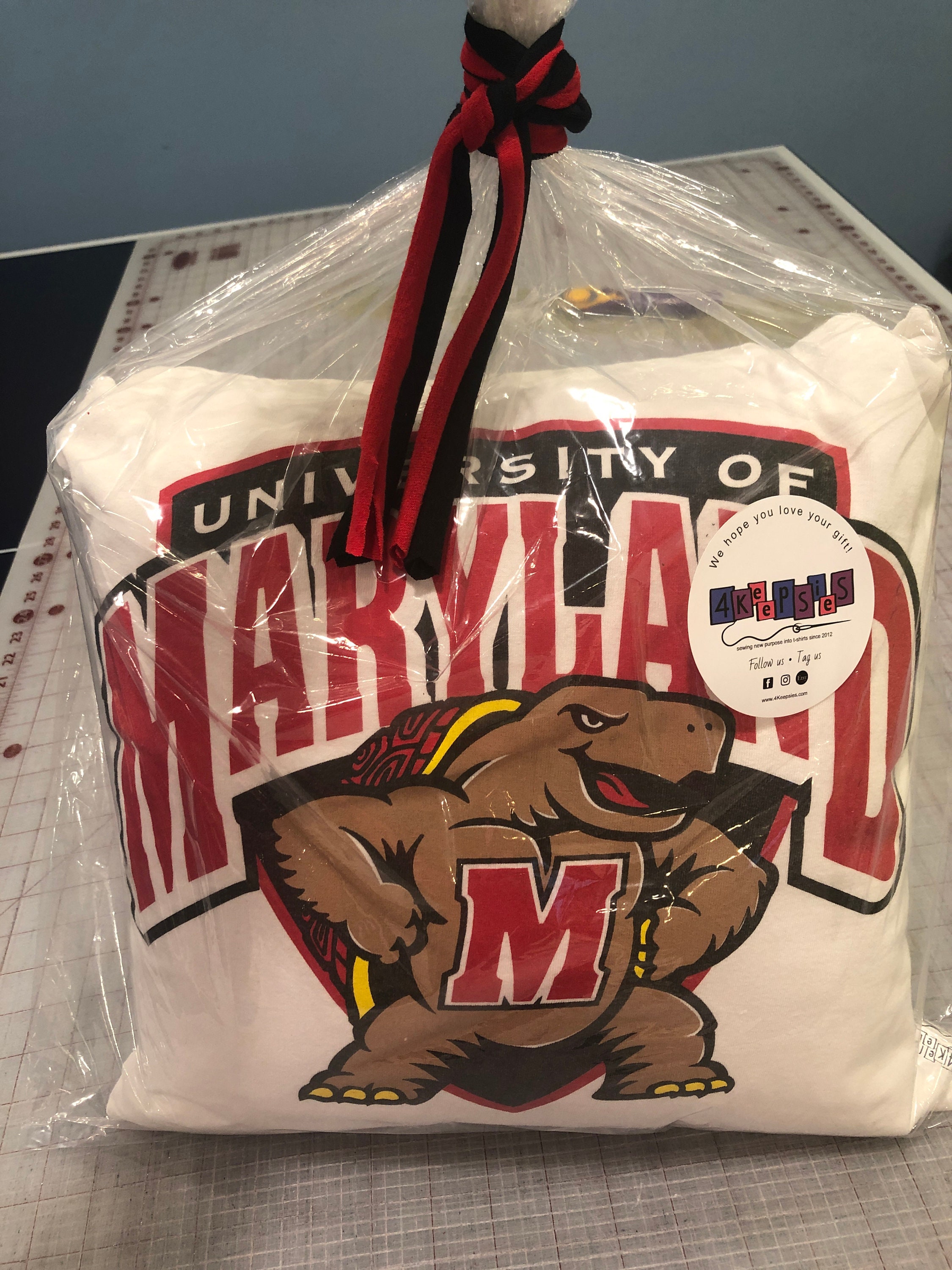 College Pillows, University Throw Pillows, T-shirt Pillows, Dorm Room ...