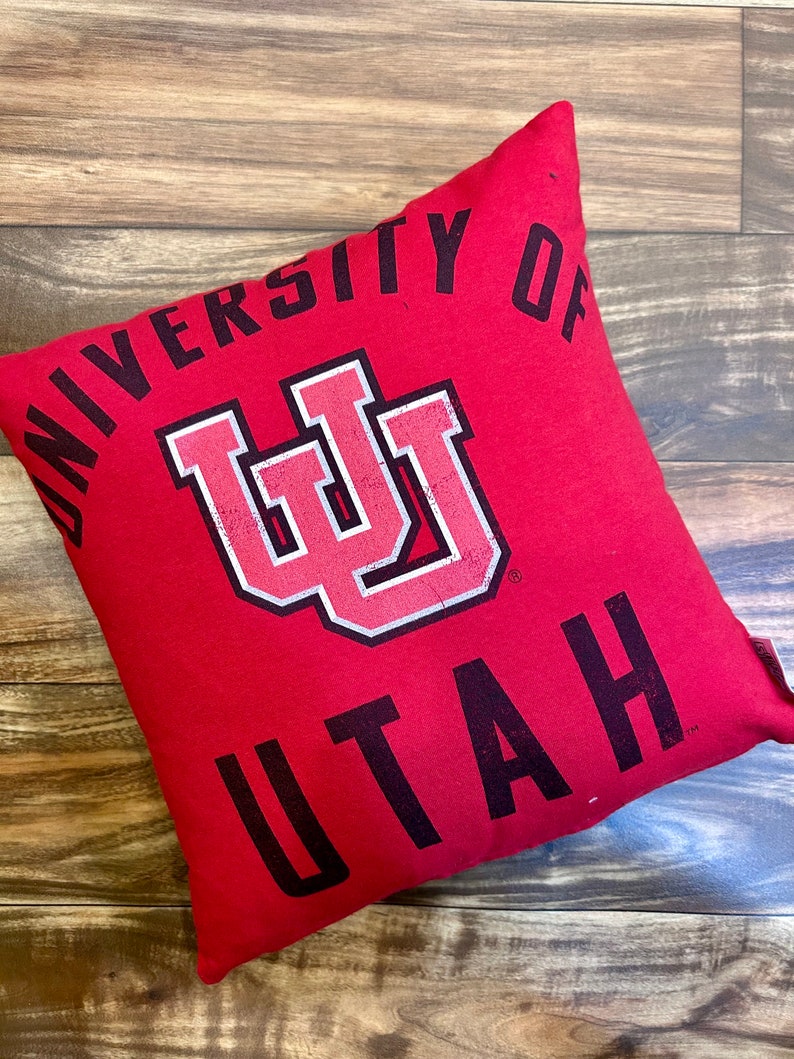 College Pillows, University Throw Pillows, T-shirt Pillows, Dorm Room ...