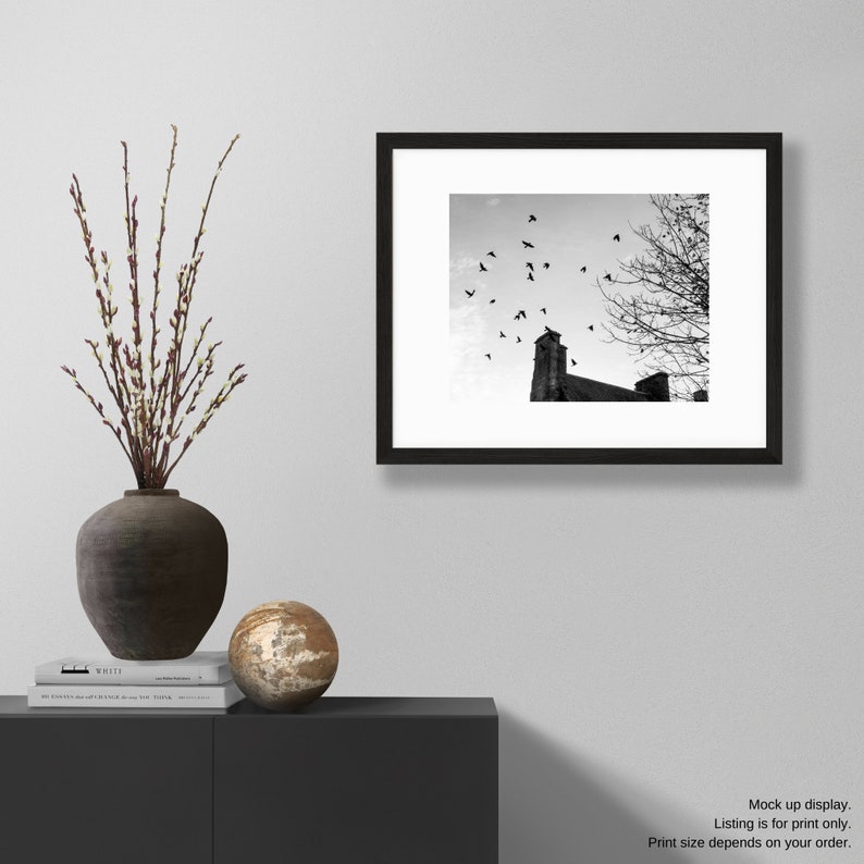 Rosslyn Castle Print Bird Photography Scotland Wall Art - Etsy